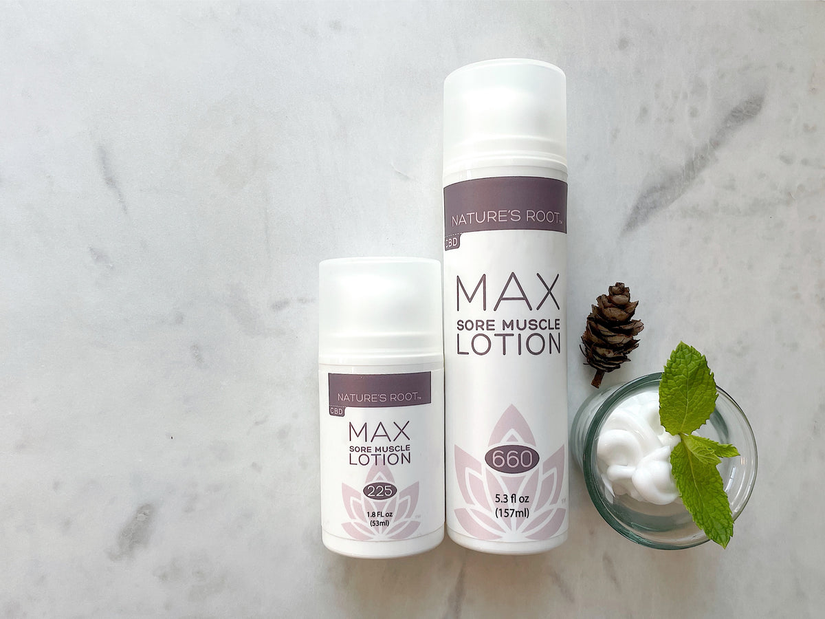Max Sore Muscle Lotion – Nature's Root