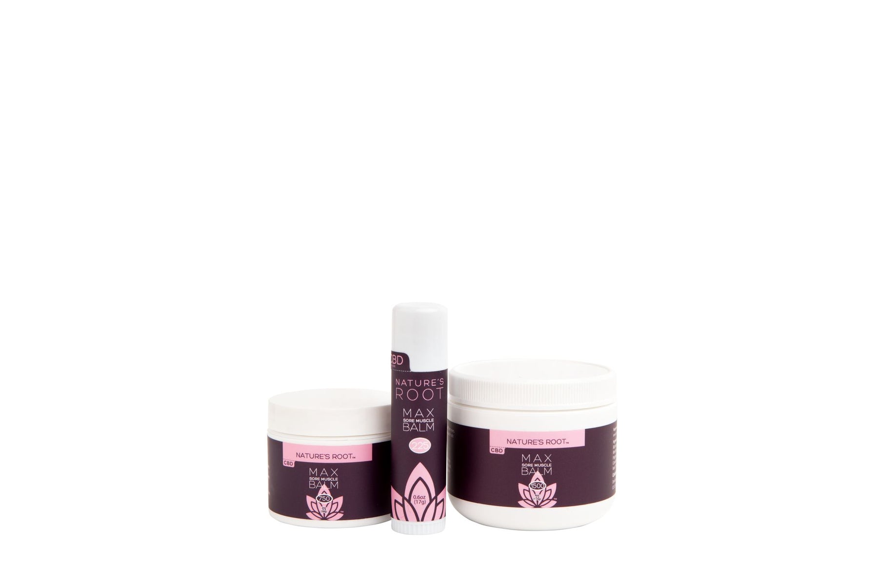 Repair – Nature's Root